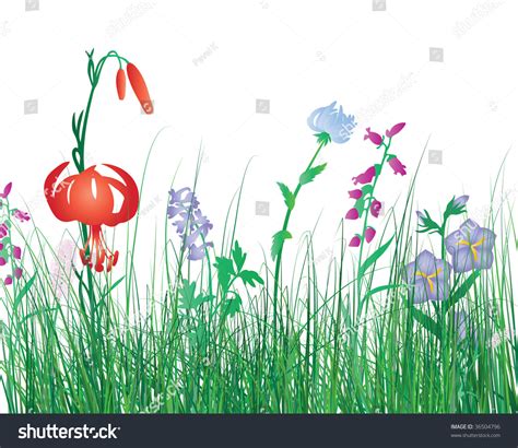Grass Background My Portfolio Available Vector Stock Illustration