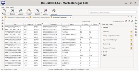STARsolo Single Cell Quantification In OmicsBox
