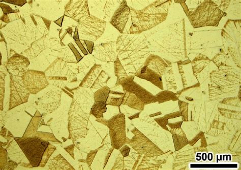 Optical Micrograph Of An Etched Copper Sample Showing Typical Download Scientific Diagram