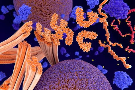 40 Facts About Phosphorylation
