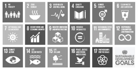 Cbse Class 10 Computer Science Chapter 2 Green Skills Ii Notes