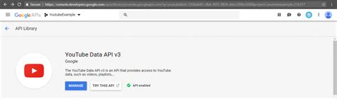 Example Of Youtube Video Integration In React Native About React
