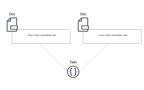 Data Access And Visibility Trusted Twin