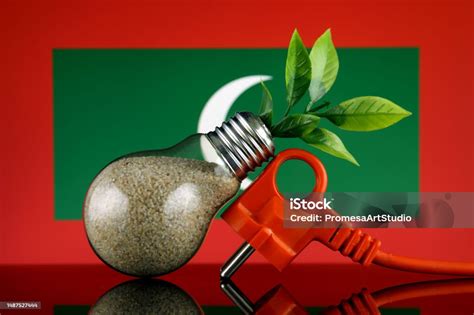 플러그 전구 내부에서 자라는 식물과 몰디브 국기 녹색 에코 재생 에너지 개념입니다 0명에 대한 스톡 사진 및 기타 이미지 0