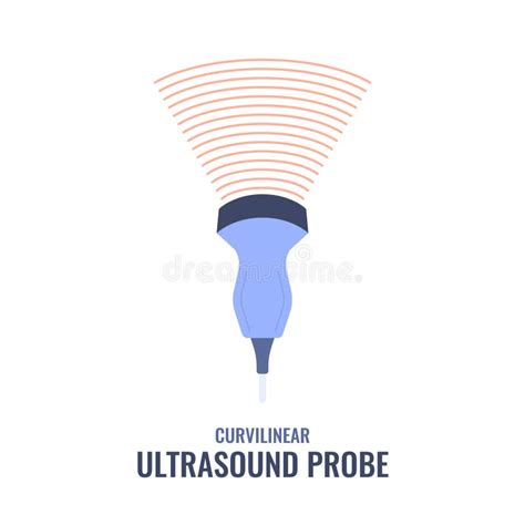 Ultrasound Probe Transducers Set For Sonography Diagram Stock Vector Illustration Of