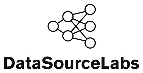 data source labs logo