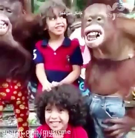 چقدر با مزه هستن این میمون ها