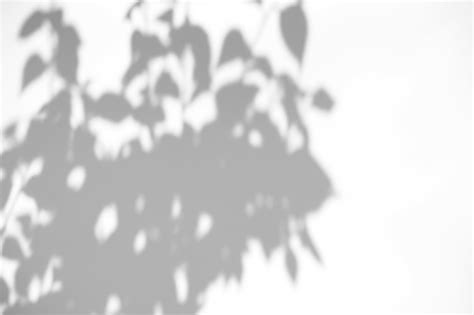 제품 프리젠 테이션 배경 및 모형 여름 계절 개념에 오버레이 흰색 텍스처 배경에 자연 그림자 오버레이를 남깁니다 0명에 대한 스톡 사진 및 기타 이미지 Istock