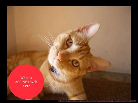 Rest For Net Introduction To Aspnet Web Api Ppt