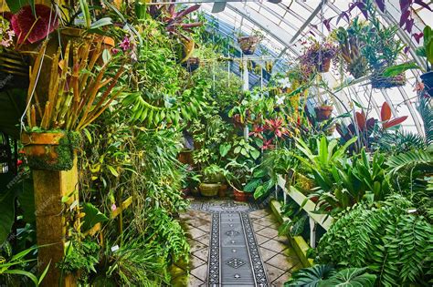 Premium Photo Greenhouse Conservatory With Pathway Lined With Potted