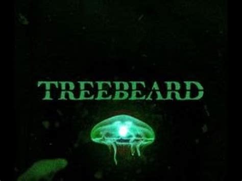 Treebeard YouTube