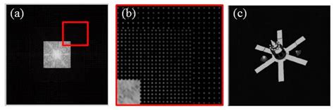 Electro Optical Imaging Technology Based On Microlens Array And Fiber