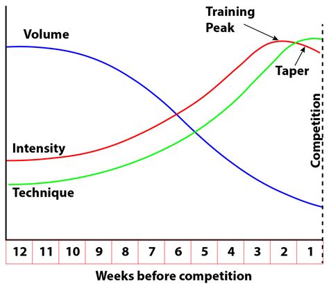 Types Of Weightlifting Program Training Weightlifting