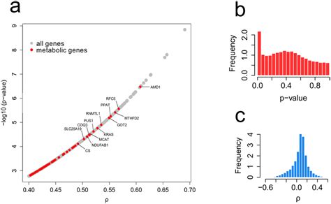 Panel A Shows The Spearman Correlation Coefficients And Associated