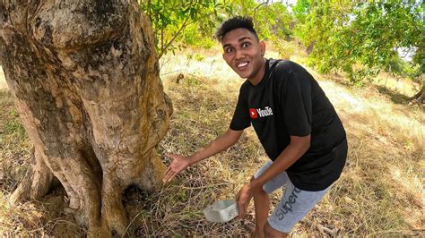 ගිනි අව්වේ වටු බිත්තර හොයමු Youtube