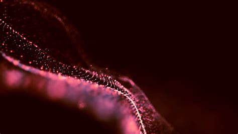 Network Connection Data Structureinformation Stock Motion Graphics Sbv 348584635 Storyblocks