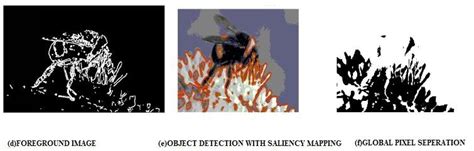 1 A To F Segmentation Using Saliency Mapping Download Scientific Diagram