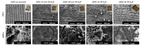 Tannic Acid Coatings To Control The Degradation Of Az91 Mg Alloy Porous