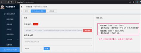 WebSocket 实时通信 ruoyi vue pro 开发指南