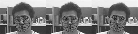 Real Time Face Tracking Using ICIA Download Scientific Diagram