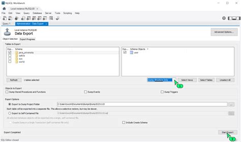 Course Sql And Hibernate Lecture Data Backup