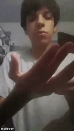 Animated  Imgflip