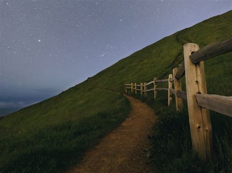 The Pathway To Wisdom