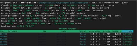 revamp the header · issue 213 · dalibo pg activity · github