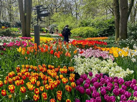 The Ultimate Guide To Keukenhof Gardens For Tulip Season Viatravelers