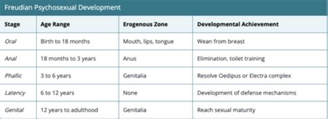 Foundations Sexuality Flashcards Quizlet