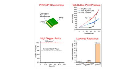 Hydrophilic Polyphenylene Sulfidecellulosepolyphenylene Sulfide