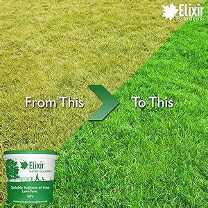 Elixir Gardens 20 Fe Soluble Ironferrous Sulphate Lawn Tonic