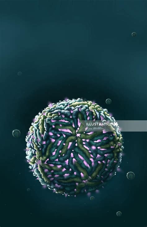 Alex Webber Medical And Scientific Illustrator Usa