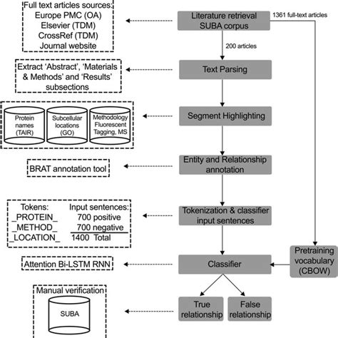 The Bi Directional Lstm Model To Recognize Protein Subcellular Download Scientific Diagram