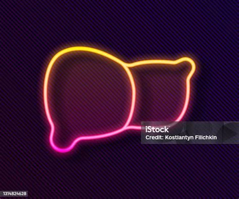 빛나는 네온 라인 인간의 장기 간 아이콘 검은 배경에 고립 벡터 간 내부 기관에 대한 스톡 벡터 아트 및 기타 이미지 간 내부 기관 개념 건강 진단 Istock