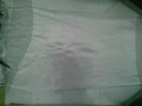 Peces 3 Object Detection Dataset By Peces