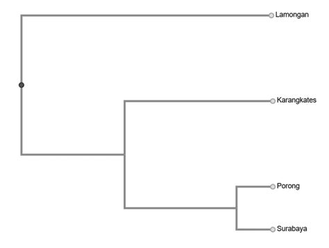 upgma dendrogram of four c striata populations based on rapd profiling
