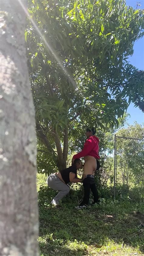 Cambodian Porn Videos With Amateur Khmer Sex XHamster