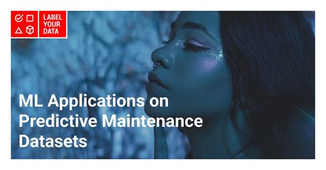 Machine Learning Applications On Predictive Maintenance Datasets For The Industries Label Your