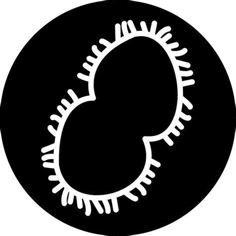 Neisseria Meningitidis Meningitis Pathogen Glyph 67205379 Vector Art At Vecteezy