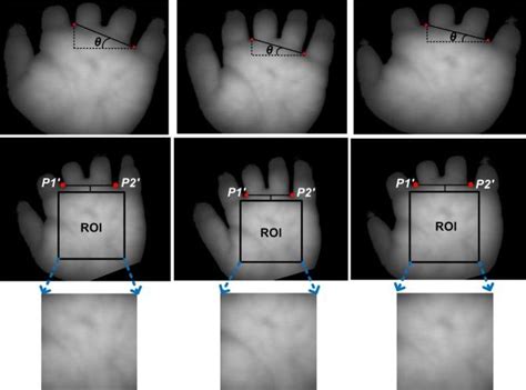 Examples Of Rotation Normalization Row 1 Captured Palm Images With
