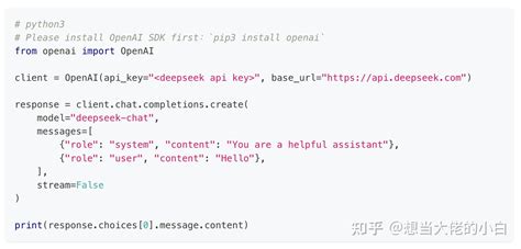 DeepSeek 调用方式一 知乎