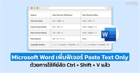 nts microsoft word เพิ่มฟีเจอร์ paste text only