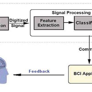 Brain Computer Interface System Download Scientific Diagram