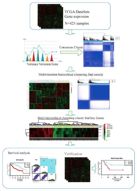 Flow Chart Of The Gene Model Construction Download Scientific Diagram