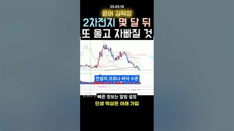 250221 2차전지 몇 달 뒤 전망 에코프로비엠 에코프로머티 에코프로 포스코퓨처엠 Posco홀딩스 Lg화학