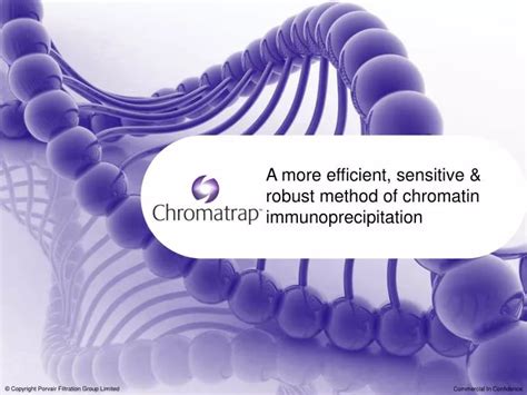 Ppt A More Efficient Sensitive And Robust Method Of Chromatin Immunoprecipitation Powerpoint
