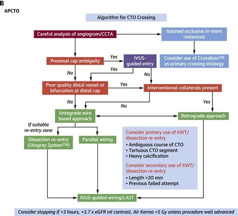 Global Chronic Total Occlusion Crossing Algorithm Jacc State Of The