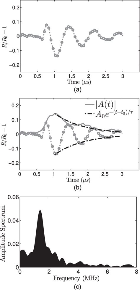Schematic Of The Damping Analysis A Radius Versus Time Curve Download Scientific Diagram