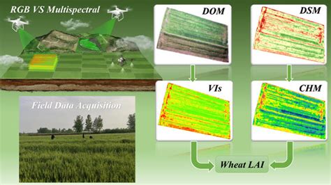 Remote Sensing Free Full Text An Improved Lai Estimation Method